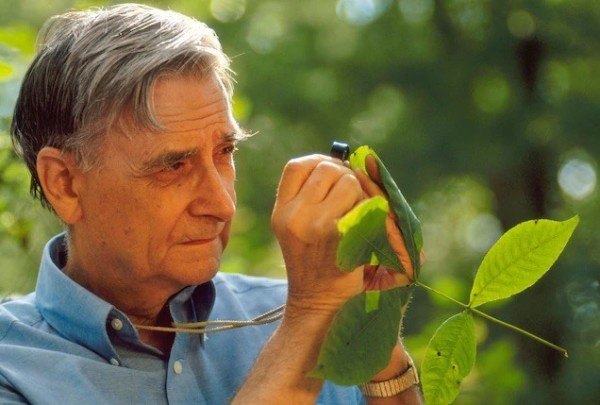 The Father of Biodiversity on Biophilic Architecture - Plant Solutions