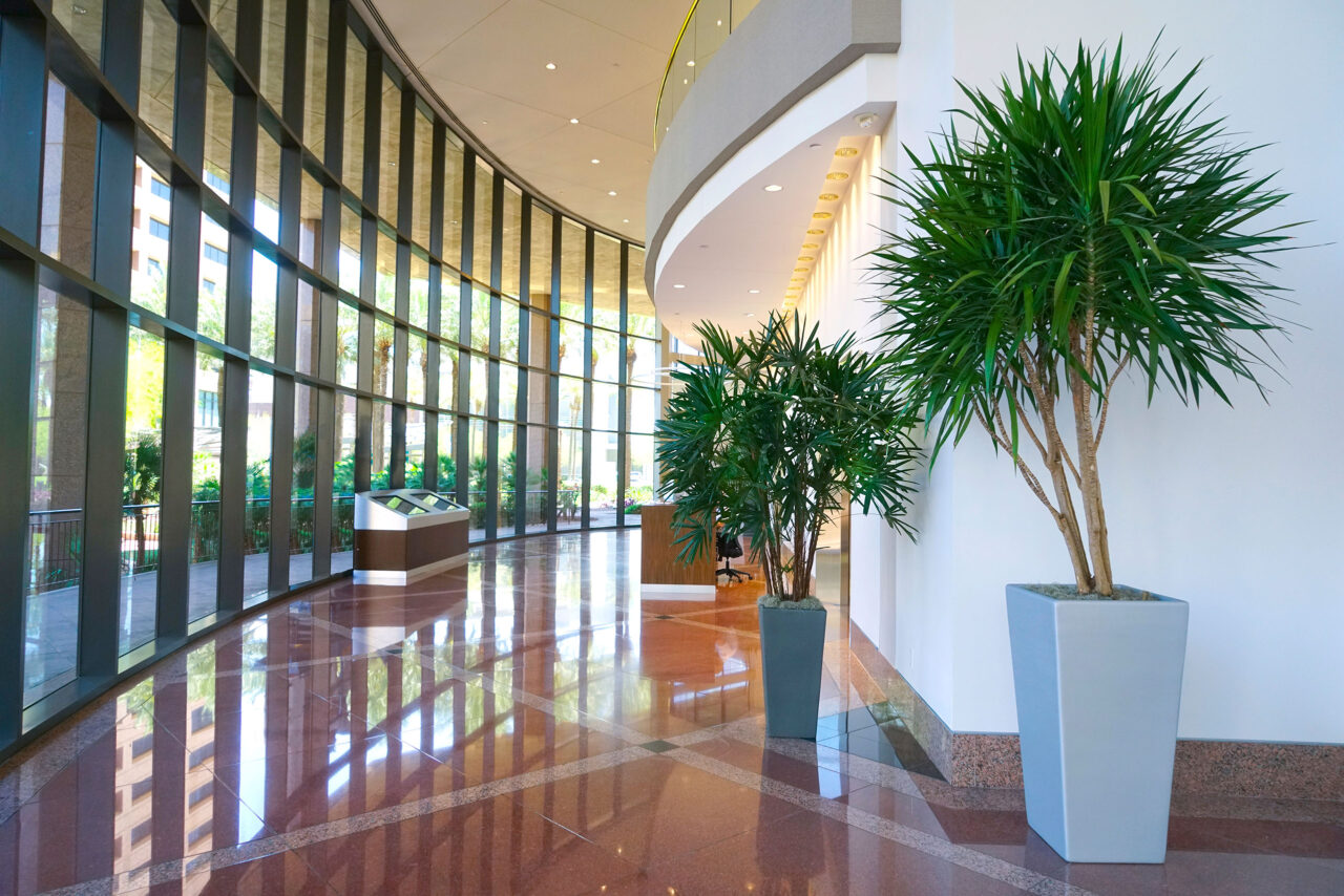 Services - Plant Solutions