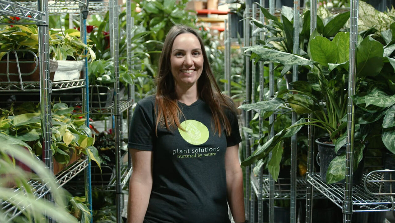 Design and Installation