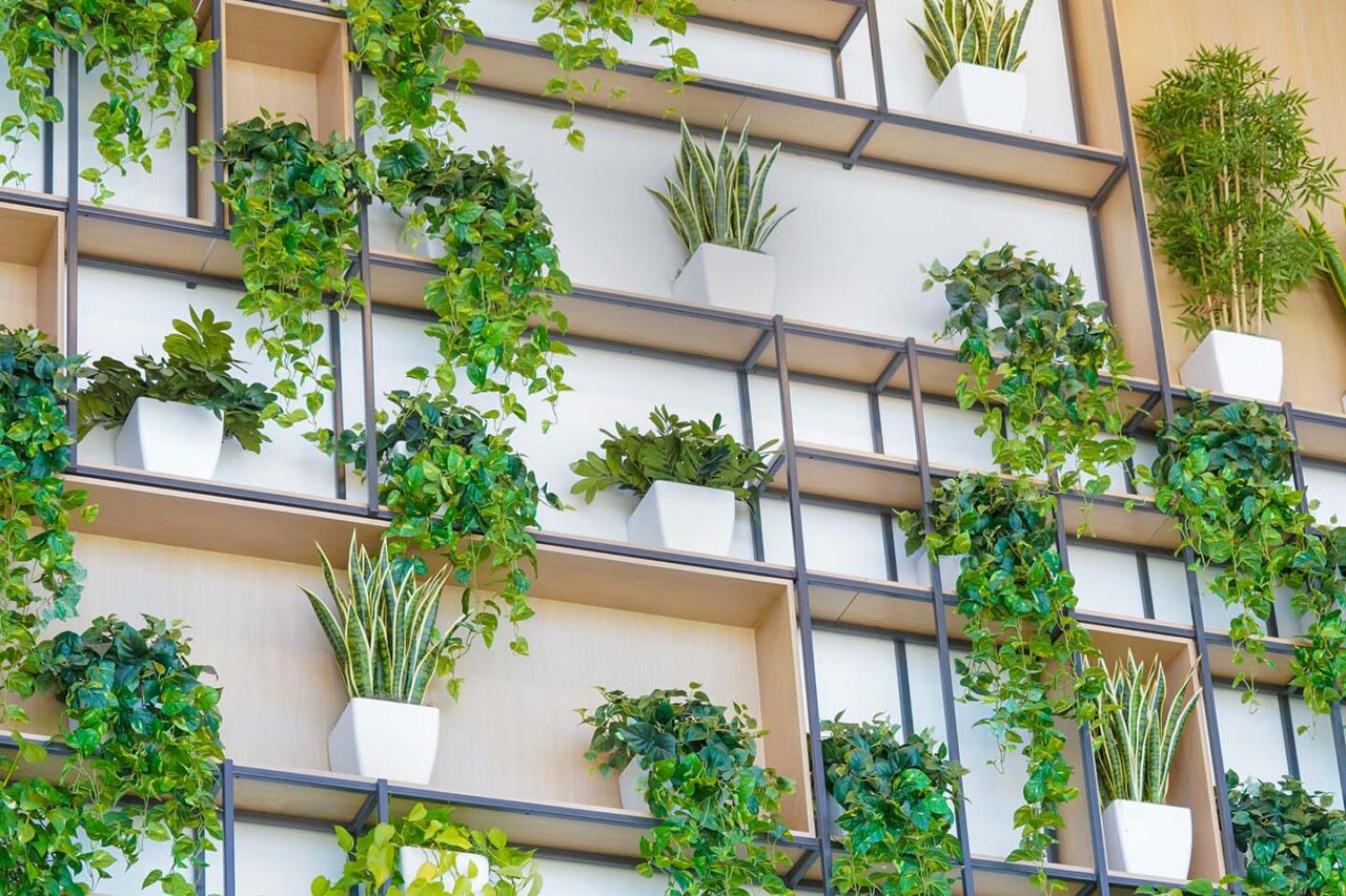 Plant Walls - Plant Solutions