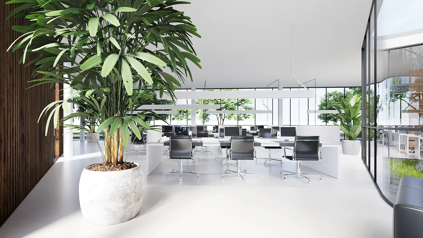 Plant Rental - Mesa Plant Rental - Plant Solutions